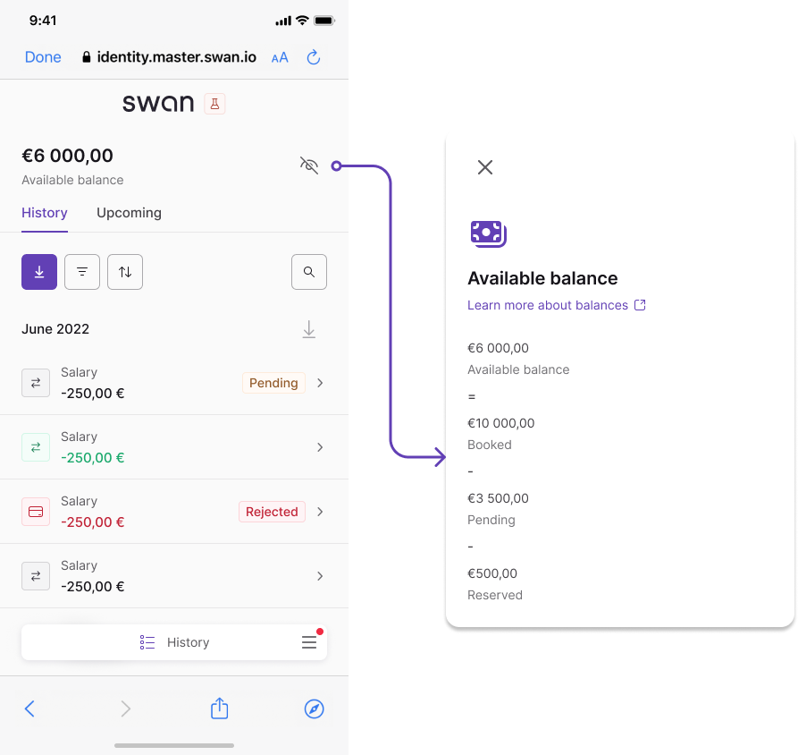 Account balances – SWAN Support